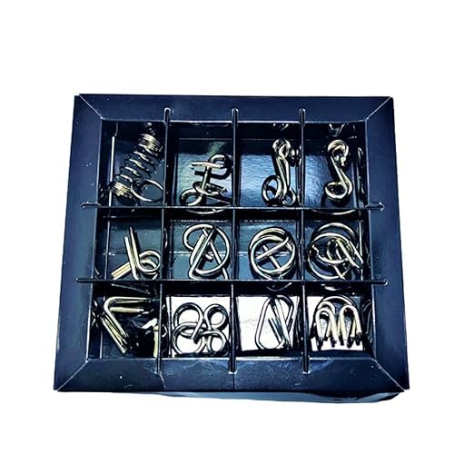 Assorted Metal Puzzle | Disentanglement Puzzle Unlock Interlock | NE17 ...