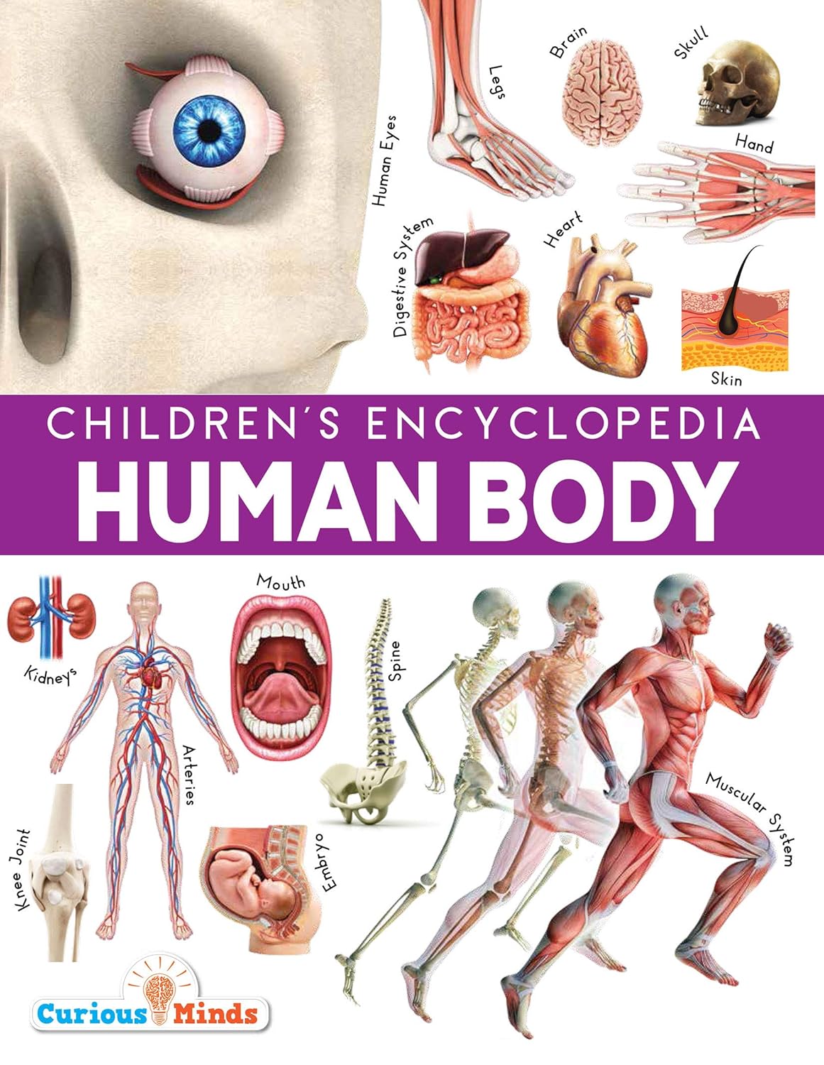 Human Body Children's Encyclopedia | EDS-14– KidsROAR