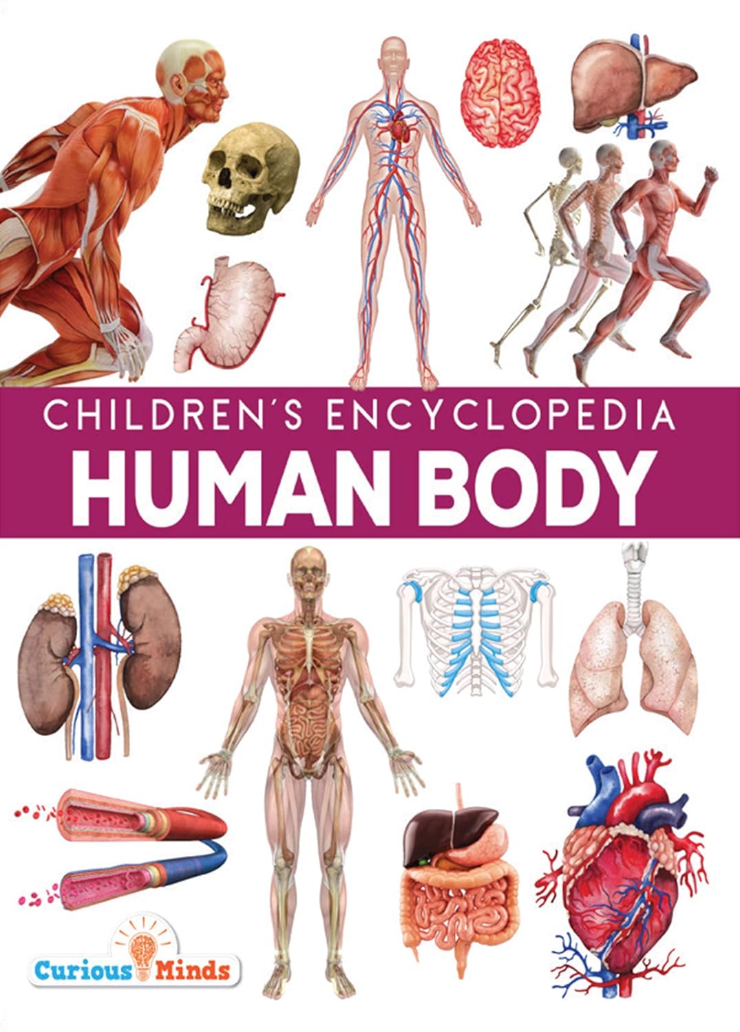 Human Body Children's Encyclopedia | EDS-14– KidsROAR