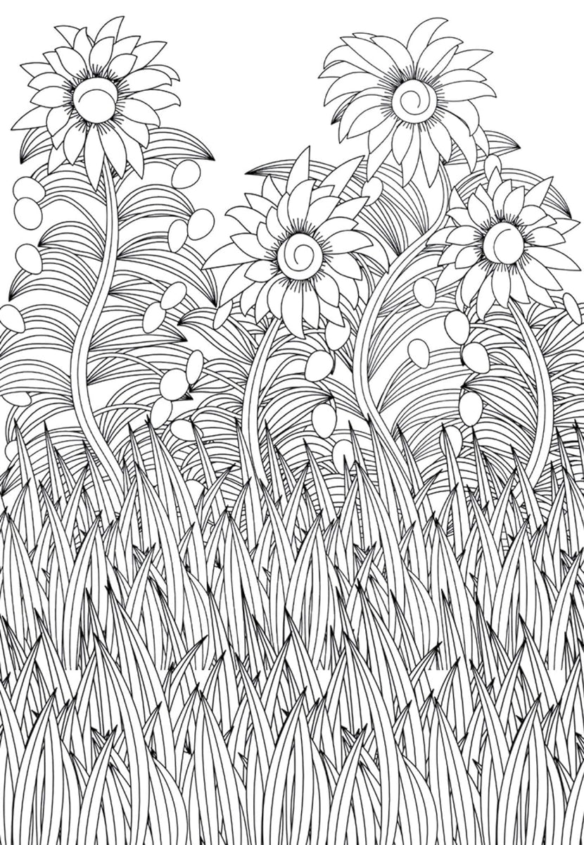 Doodles - Mini Adult Colouring Pad | EDS-08– KidsROAR