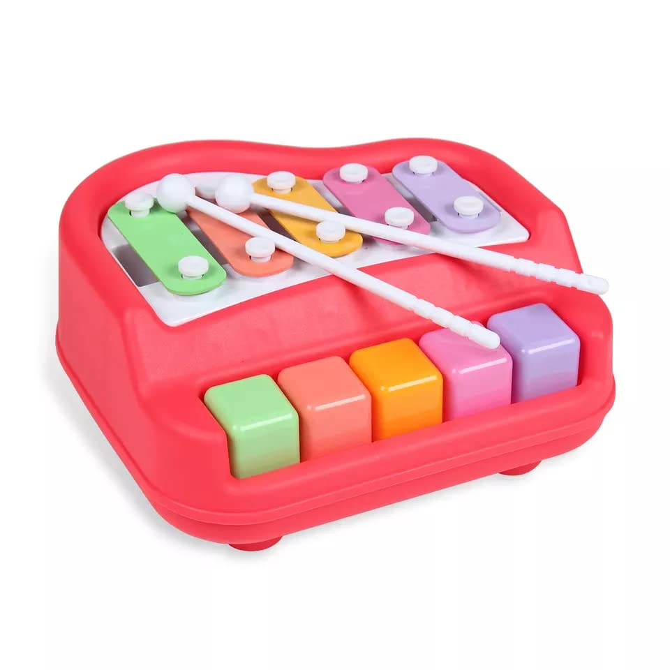 2 in 1 Musical Xylophone and Mini Piano for Kids - Educational Musical ...